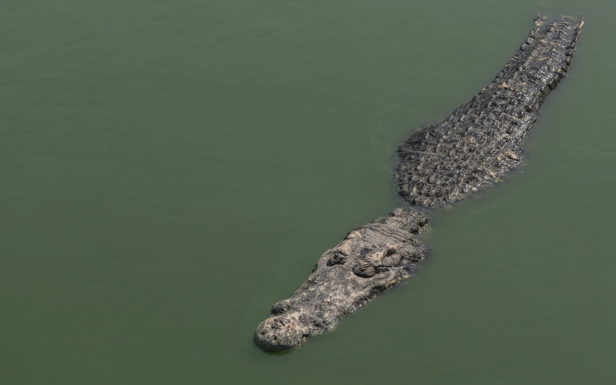 Busting SMSF myths | brightday