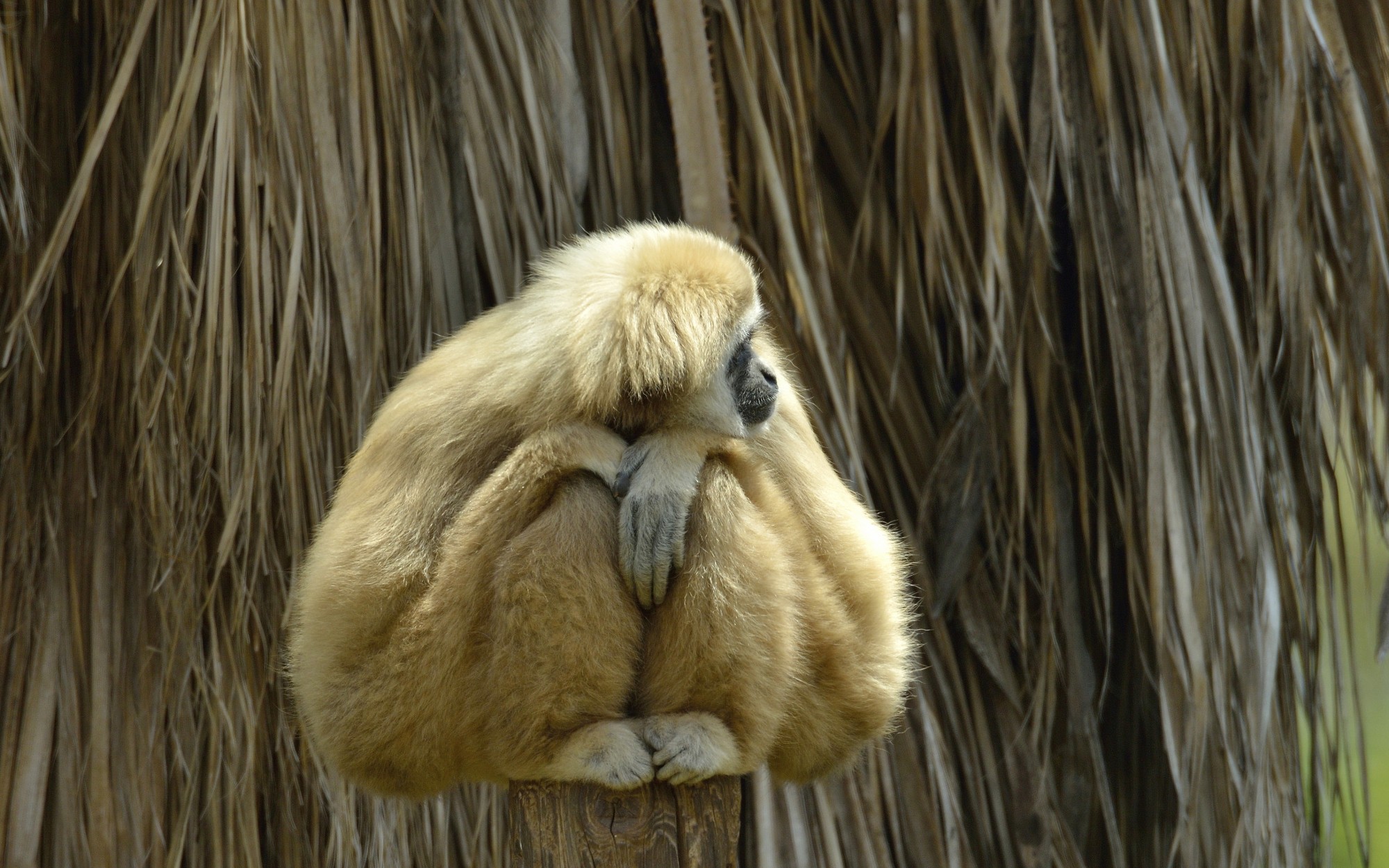 The future of term deposits | brightday