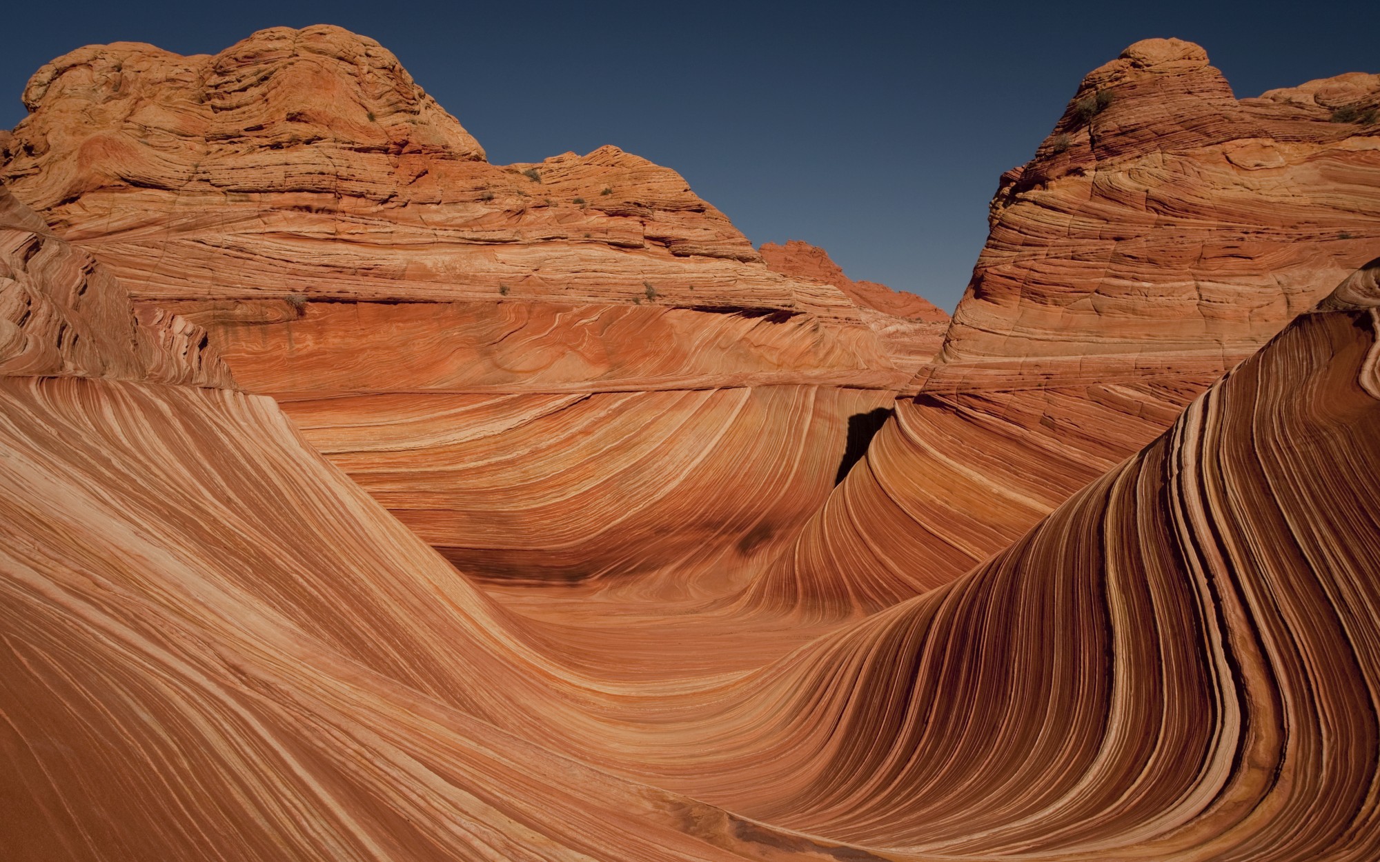 How to weather a bad month on the market | brightday