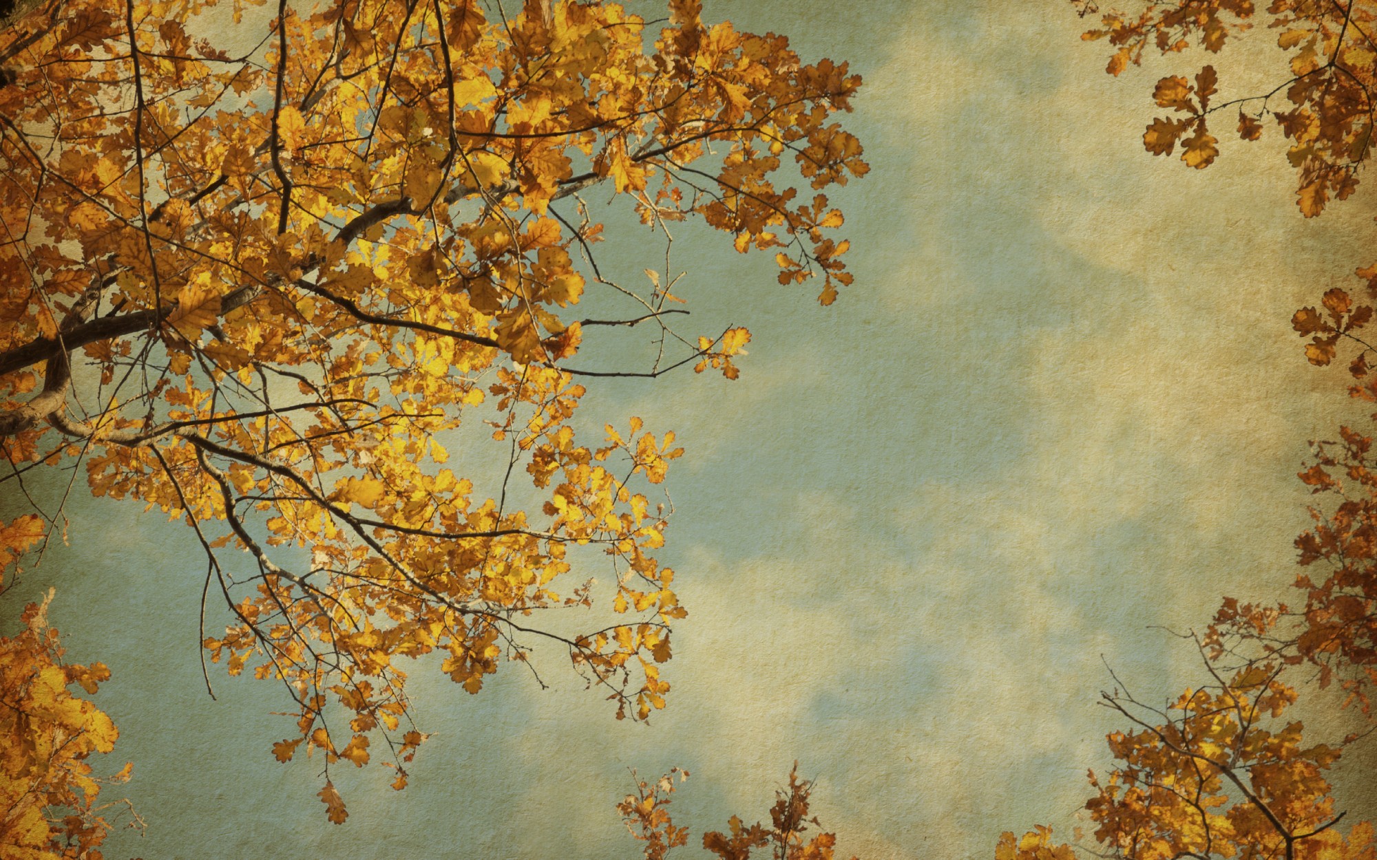 Learning to branch out | brightday