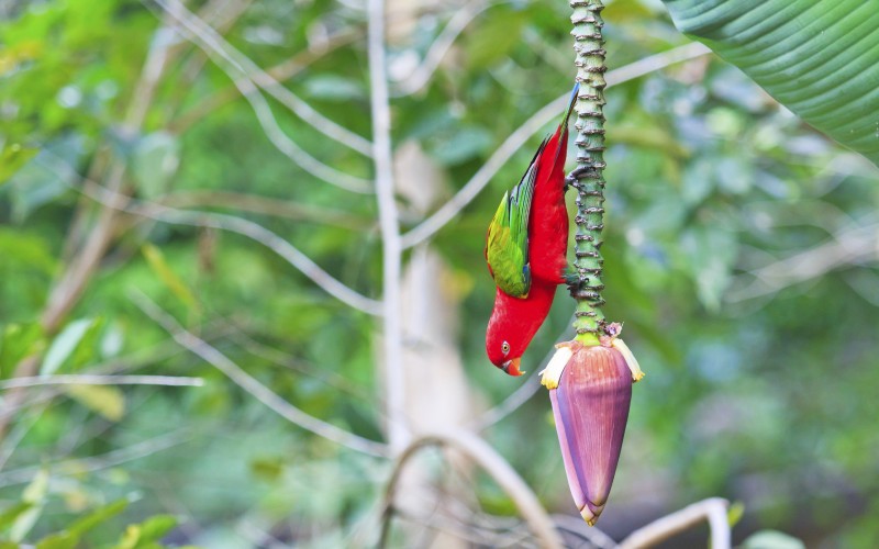 Super essentials | brightday